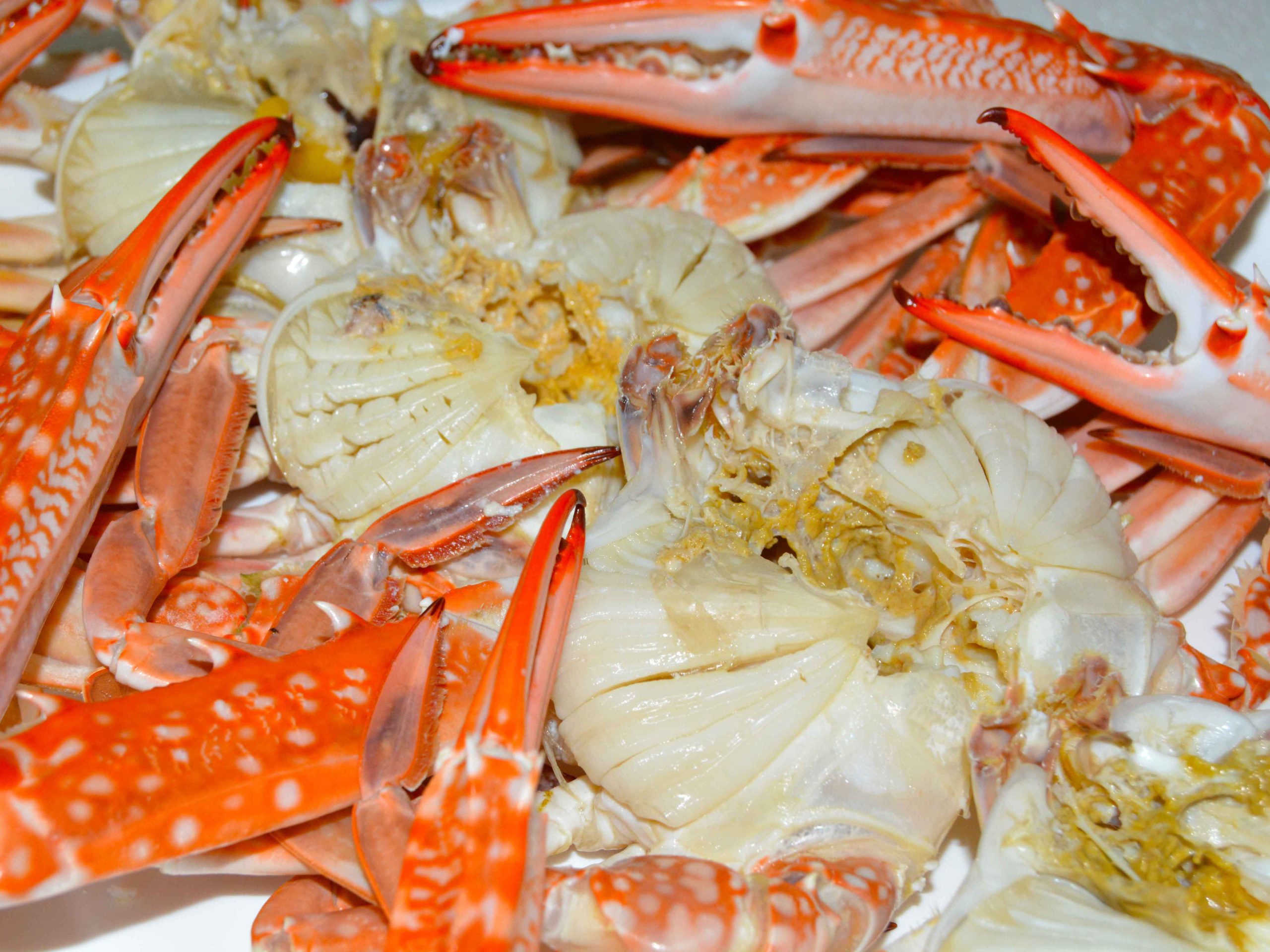 Our Produce – Societe Gabes Marine Products